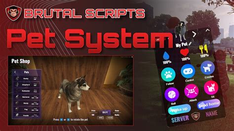 Image result for Fivem Pet Script