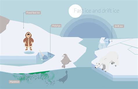 Image result for How Fast Does Ice Form