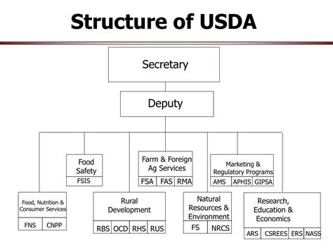 Image result for USDA Rural Development Organization Chart