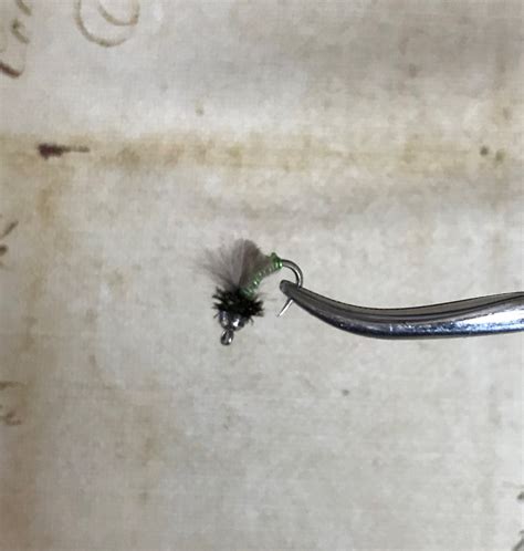 Image result for Caddies Emerger Fly Pattern