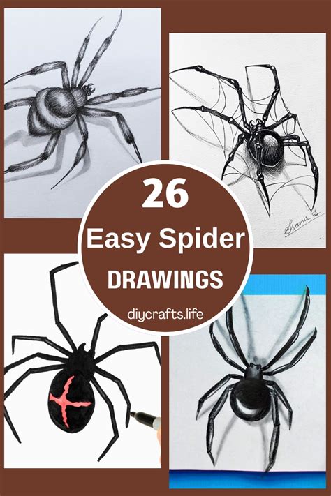 Image result for Basic Spider Drawing