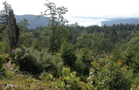 Image result for Salt Spring Island Conservancy