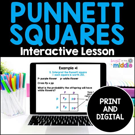 Image result for Punnett Square Tutorial