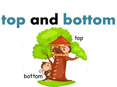 Image result for Top and Bottom Clause