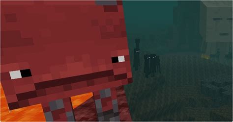 Image result for Nether Update Blocks