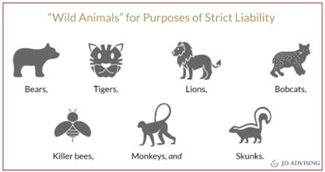 Image result for Strict Liability Examples