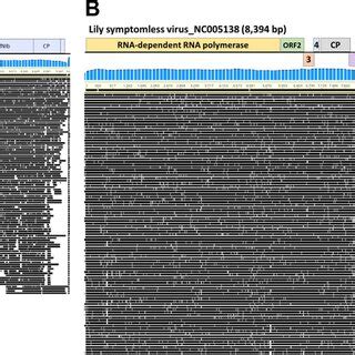 Image result for Ont Adaptive Sampling