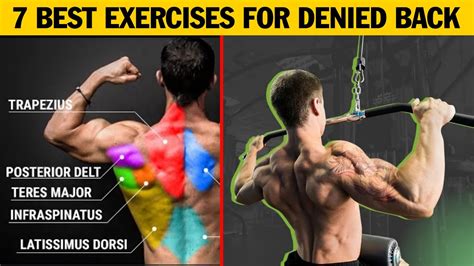 Image result for Back Workout for Definition
