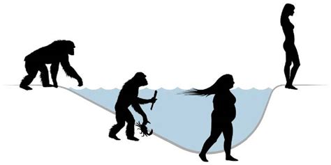 Image result for Human Evolution in Water Fish