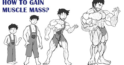 Image result for Adding Muscle Mass