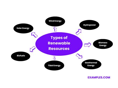 Image result for Renewable resource Examples