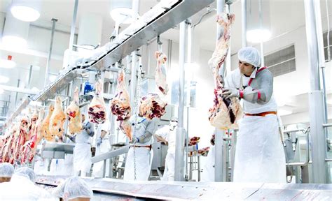 Image result for Processing Audad Meat