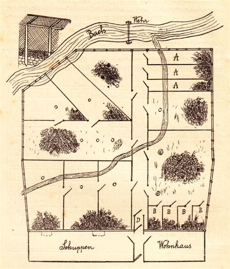 Image result for Fur Tree Farming