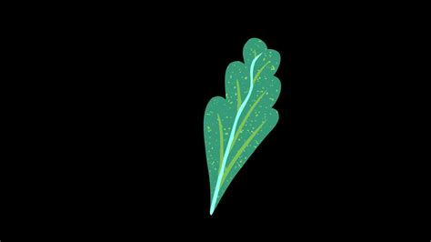 Image result for Leaf Animation Preloader