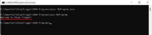 Image result for Windows 11 Java Program