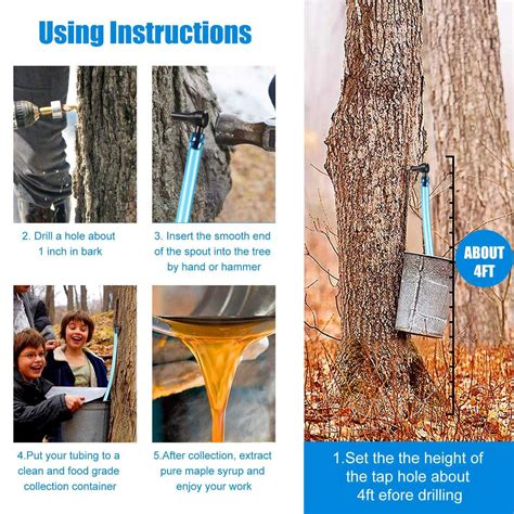 Image result for Tree Tapping Kit