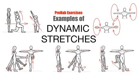 Image result for Example of Dynamic Stretching