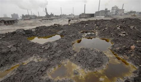 Image result for Humic Acid Heavy Metal