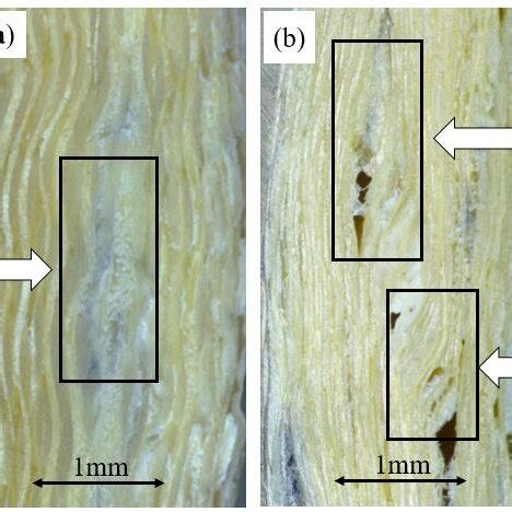 Image result for Force Compression Graph