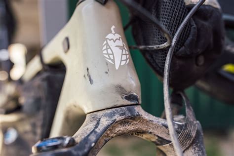 Image result for Rear Triangle Bike Frame Protection