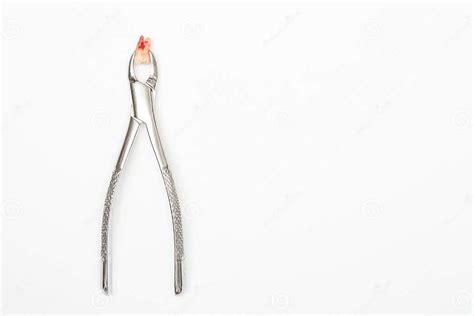 Image result for Tooth Extraction Clamp