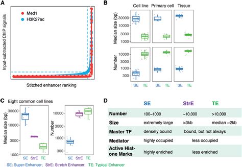 Image result for Super Repressor Enhancer