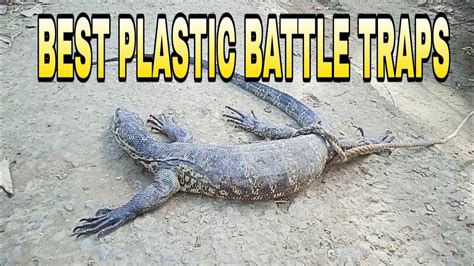Image result for Easy Homemade Lizard Traps