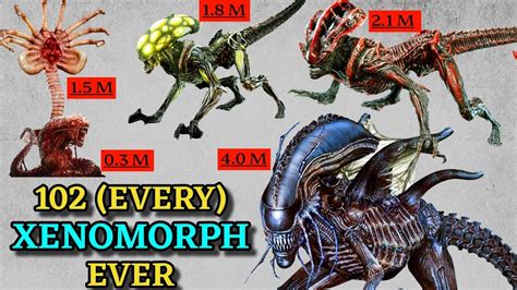 Image result for Xenomorph Types List