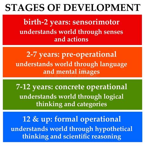 Image result for Stages of Development