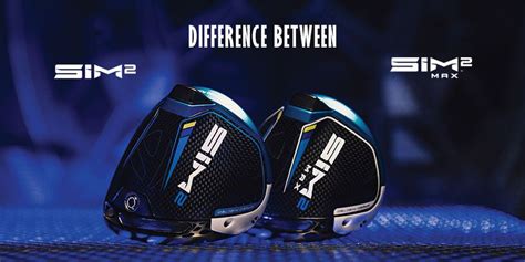 Image result for Sim 2 Max Review