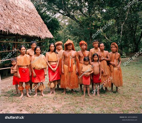 Image result for Amazon Forest Humans