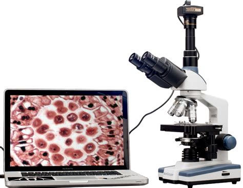 Image result for Best Digital Microscope