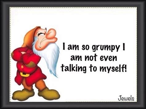 Image result for grumpy dwarf quotes