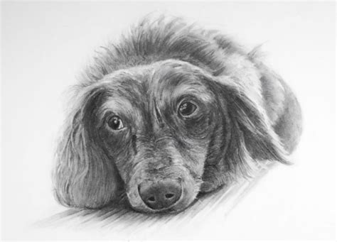 Image result for Drawing with Graphite Powder