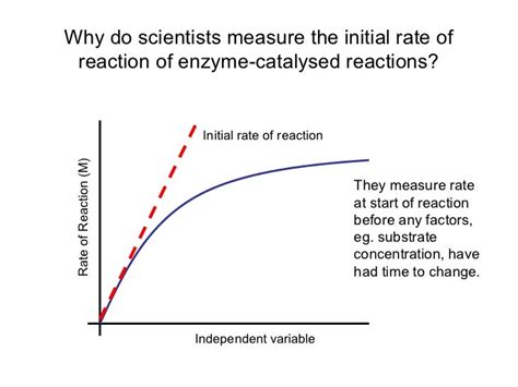 Image result for Initial Rate of Reaction Graph