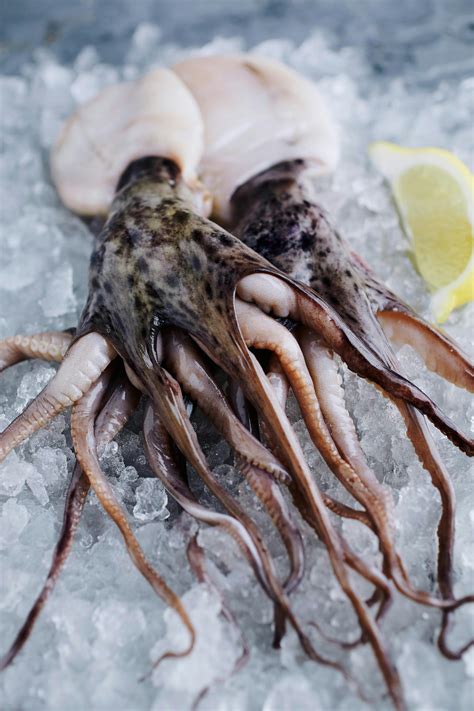 Image result for Cool Moving Computer Backgrounds