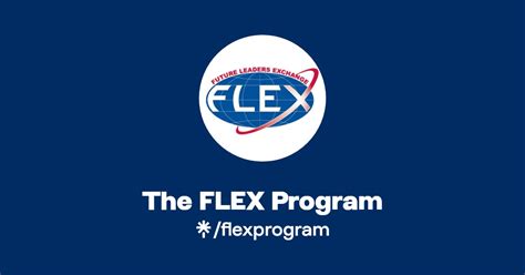 Image result for Flex Program Logo