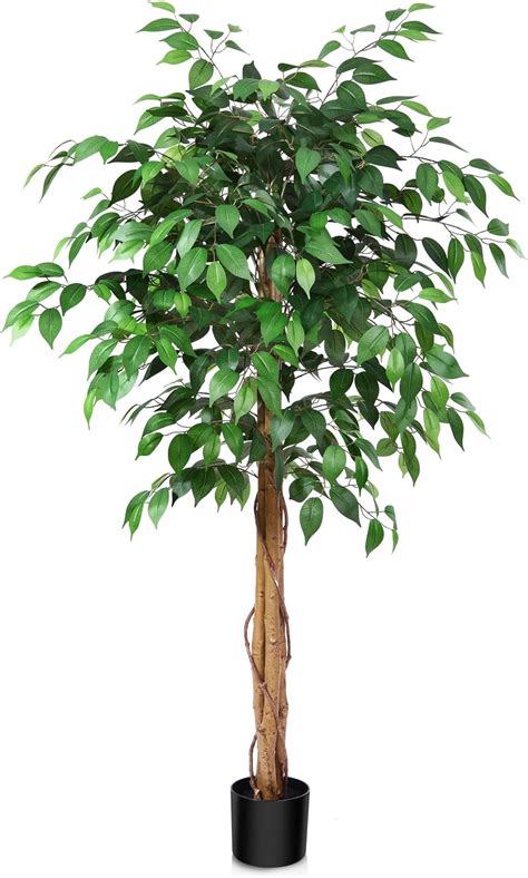 Image result for Fake Ficus Tree