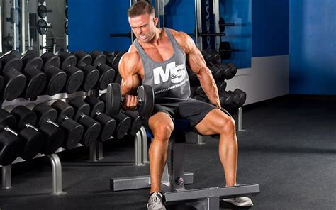 Image result for Bisect Workouts