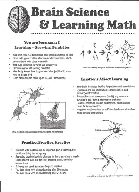 Image result for Math Brain and Learning