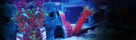 Image result for Finding Nemo Volcano Scene