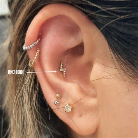 Image result for Conch Piercing