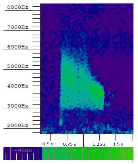 Image result for Nighthawk In-Flight Call Sounds
