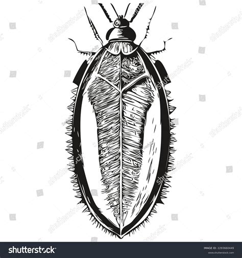 Image result for Cockroach Line Art