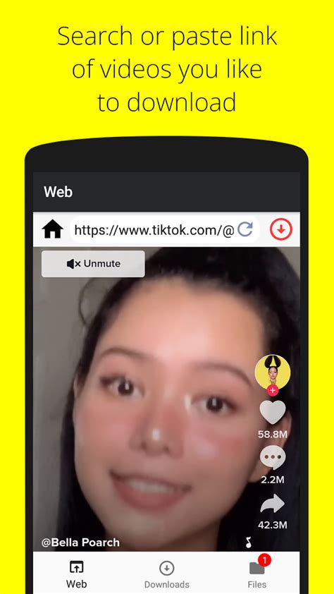 Image result for Video Downloader Software