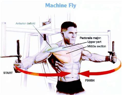 Image result for Machine Fly Workout