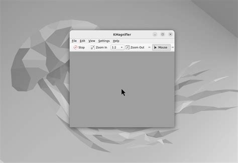 Image result for Linux Magnifier