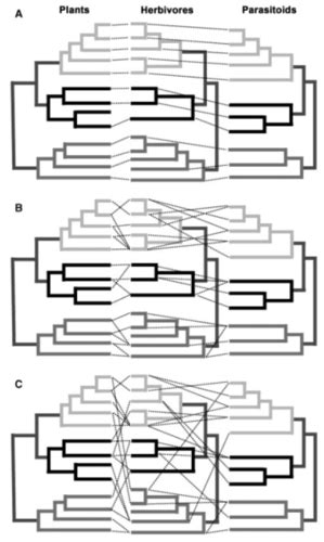 Image result for Mathematical Problem with Evolution