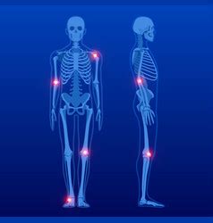 Image result for Side View Human