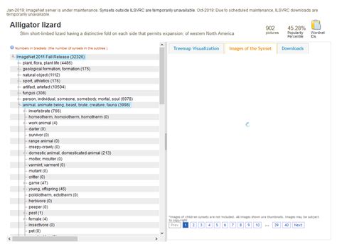 Image result for ImageNet Class